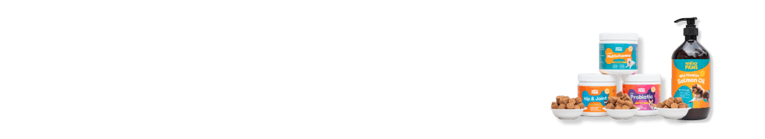 The Perfect Paws: Premium pet supplements for optimal health and wellbeing.