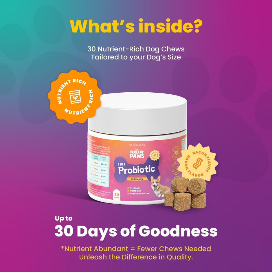 The Perfect Paws | Premium Dog and Cat Supplements