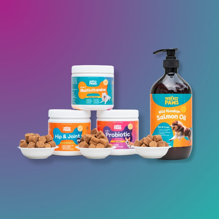 The Perfect Paws | Premium Dog and Cat Supplements