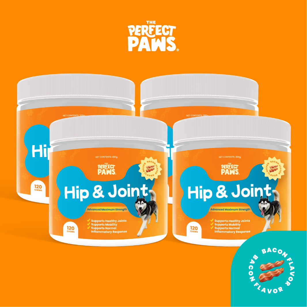 The Perfect Paws: Premium pet supplements for optimal health and wellbeing.
