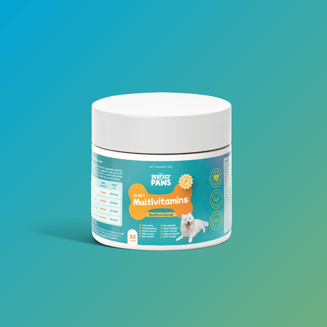10-in-1 Multivitamins for Dogs – The Perfect Paws