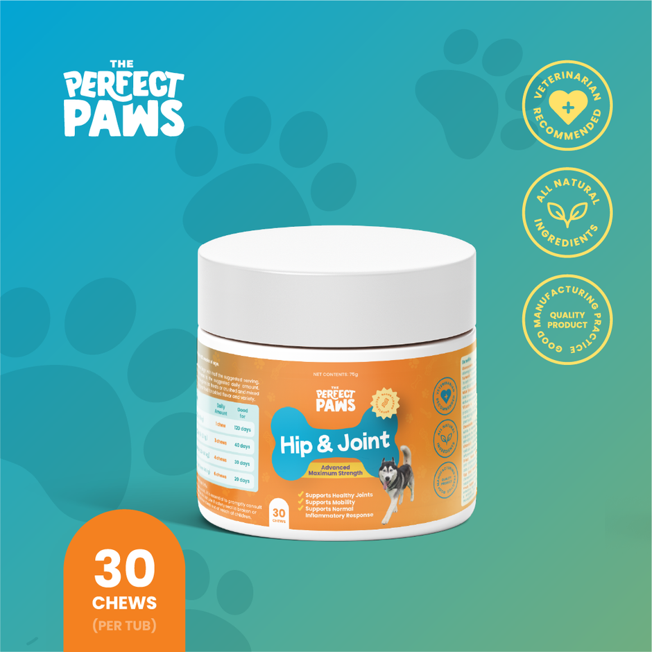 Products – The Perfect Paws