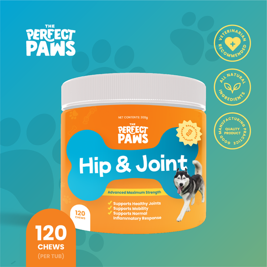 Products – The Perfect Paws