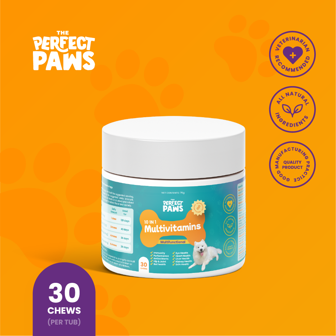 10-in-1 Multivitamins for Dogs – The Perfect Paws