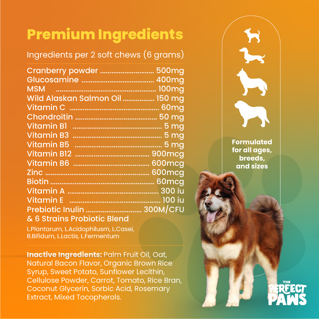 10-in-1 Multivitamins for Dogs – The Perfect Paws