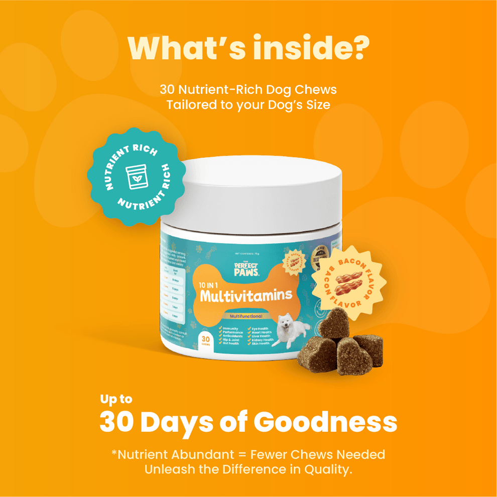 The Perfect Paws 10-in-1 Multivitamin