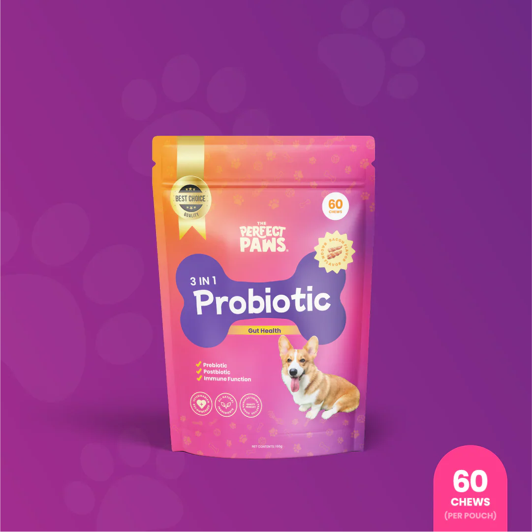 The Perfect Paws 3-in-1 Probiotic