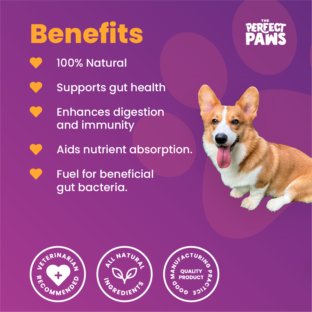 The Perfect Paws 3-in-1 Probiotic For healthy tummies, strong immune ...