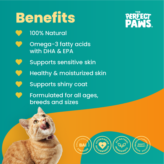Bundles – The Perfect Paws