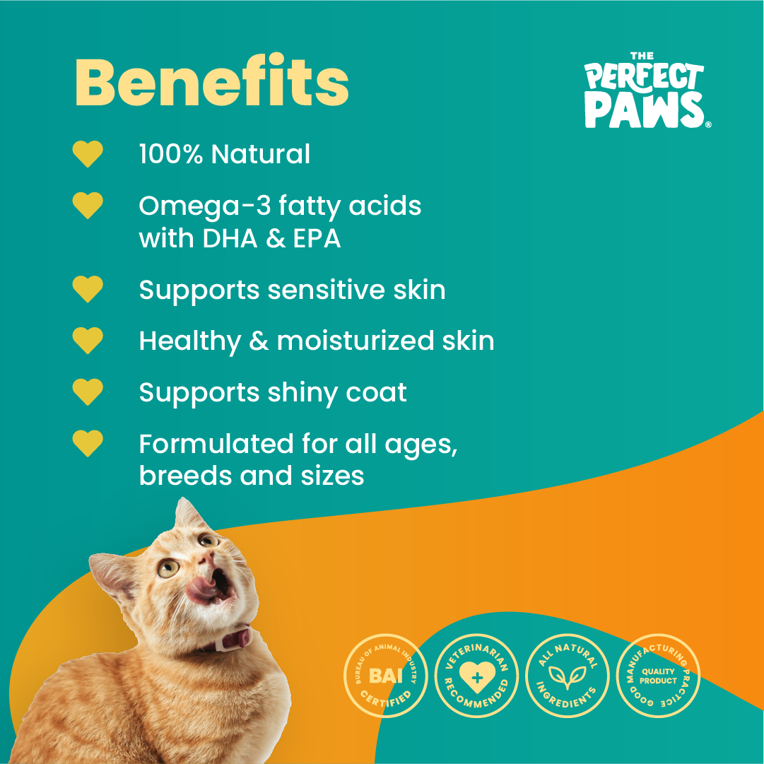 About Us – The Perfect Paws