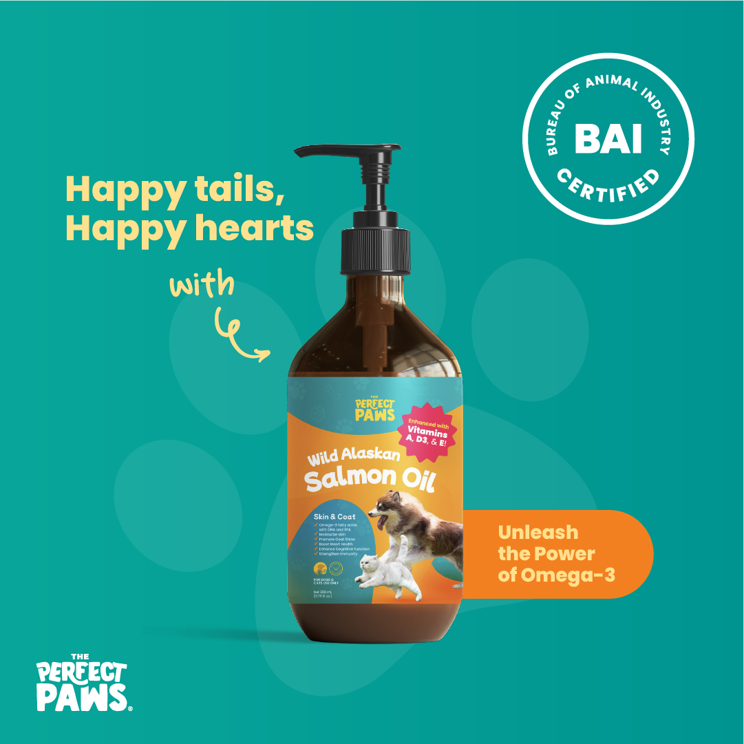 About Us – The Perfect Paws