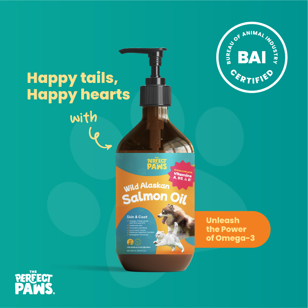 Contact Us – The Perfect Paws