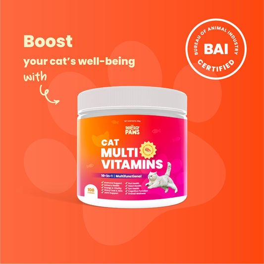 Products – The Perfect Paws
