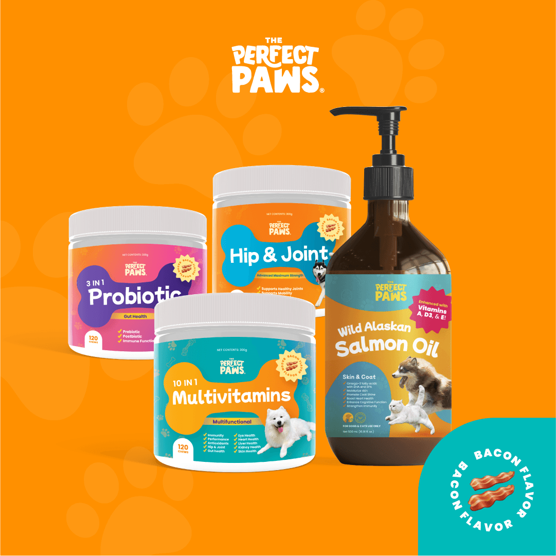 Dog Supplements – The Perfect Paws