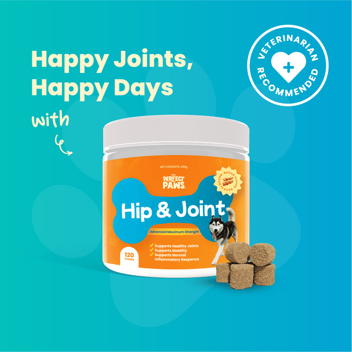 The Perfect Paws: Premium pet supplements for optimal health and wellbeing.