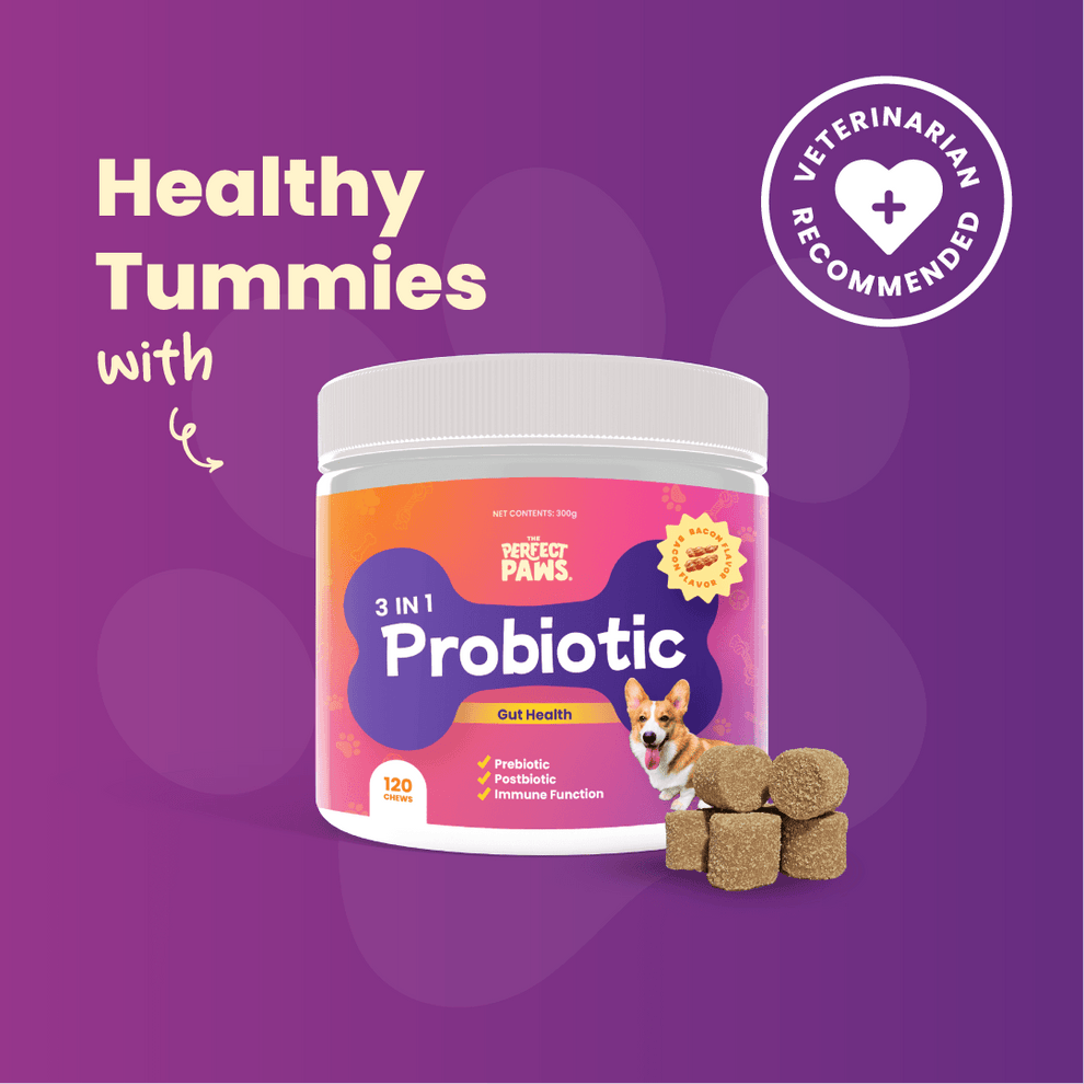Buy The Perfect Paws 3-in-1 Probiotic Dog Supplements | Probiotic Chews ...
