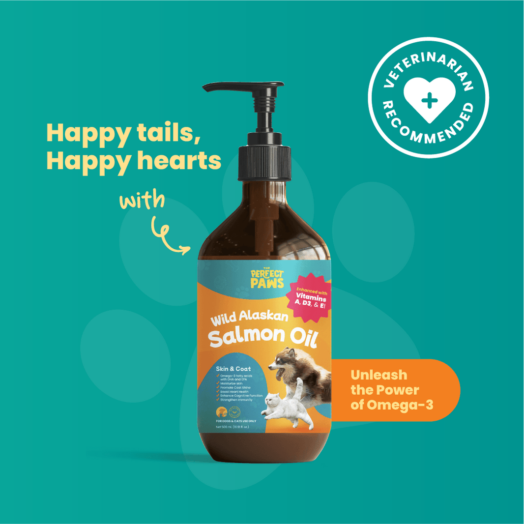 The Perfect Paws: Premium pet supplements for optimal health and wellbeing.